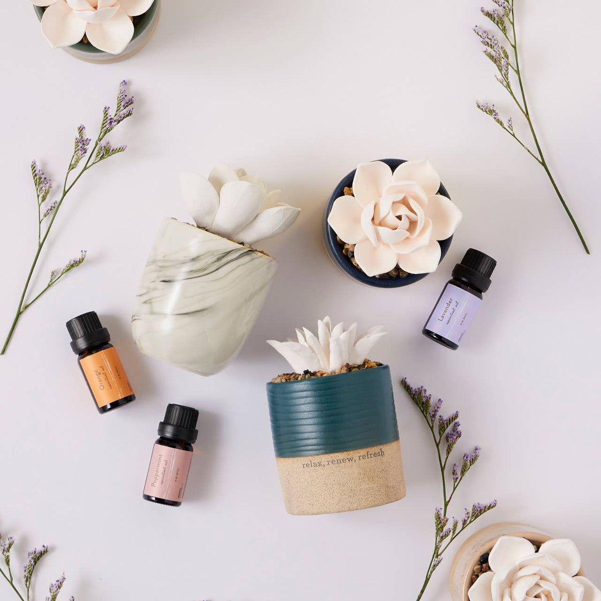 Succulent Oil Diffuser - Relax – NCH Galleries